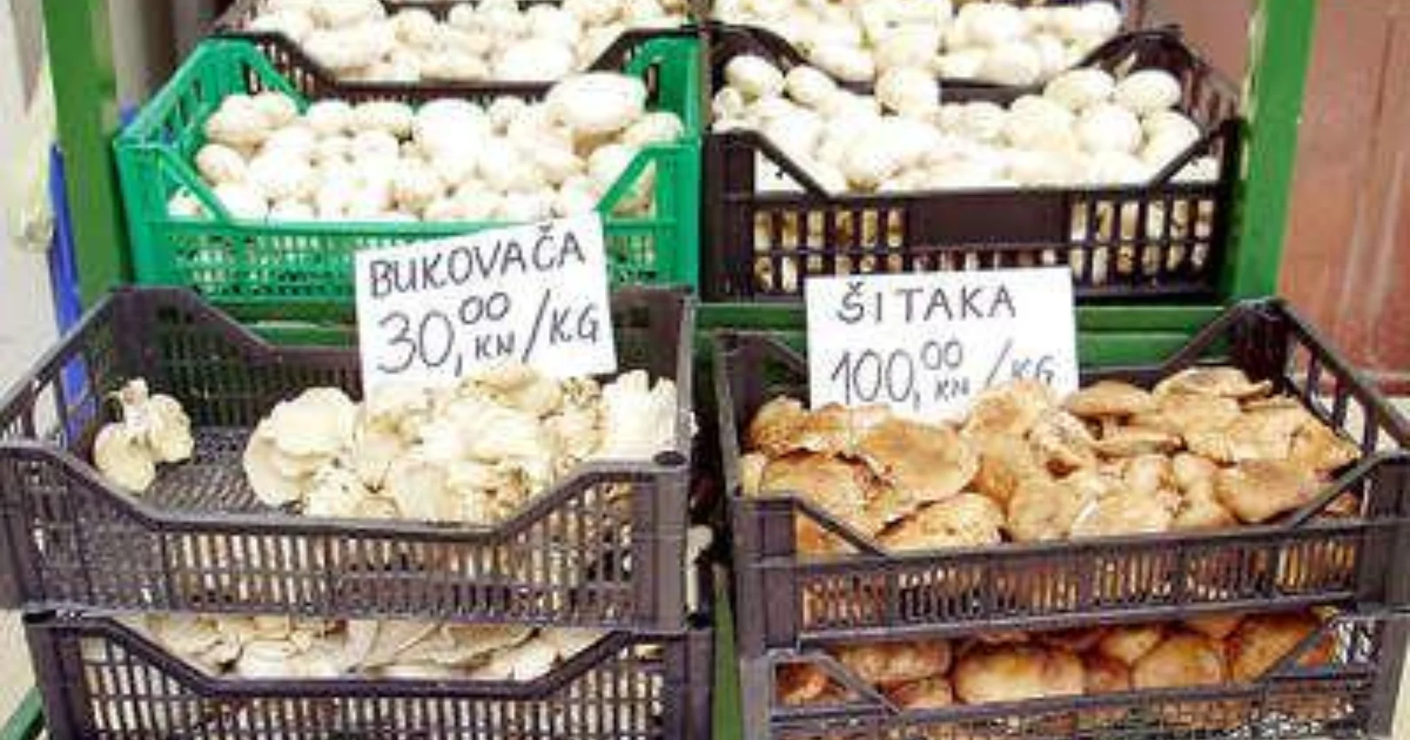 Šitake za zdravlje (đir po gradskoj tržnici) - Parentium | Vijesti iz ...