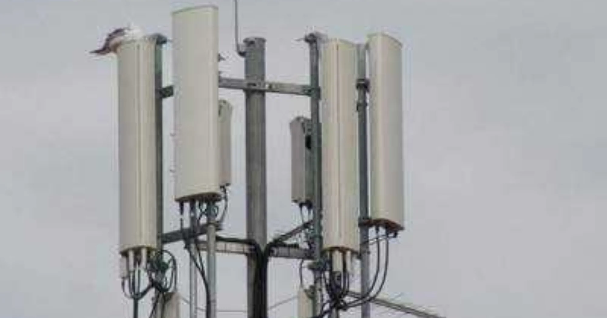 Poreč: Jesu li repetitori nelegalni? - Parentium | Vijesti iz Poreča, s ...